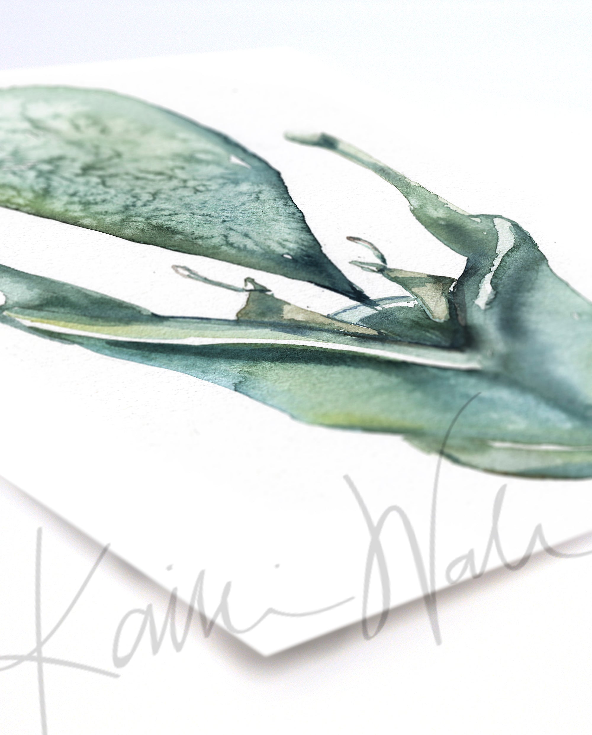 Cartilage of the Larynx Watercolor Print | Medical Art – Lyon Road Art