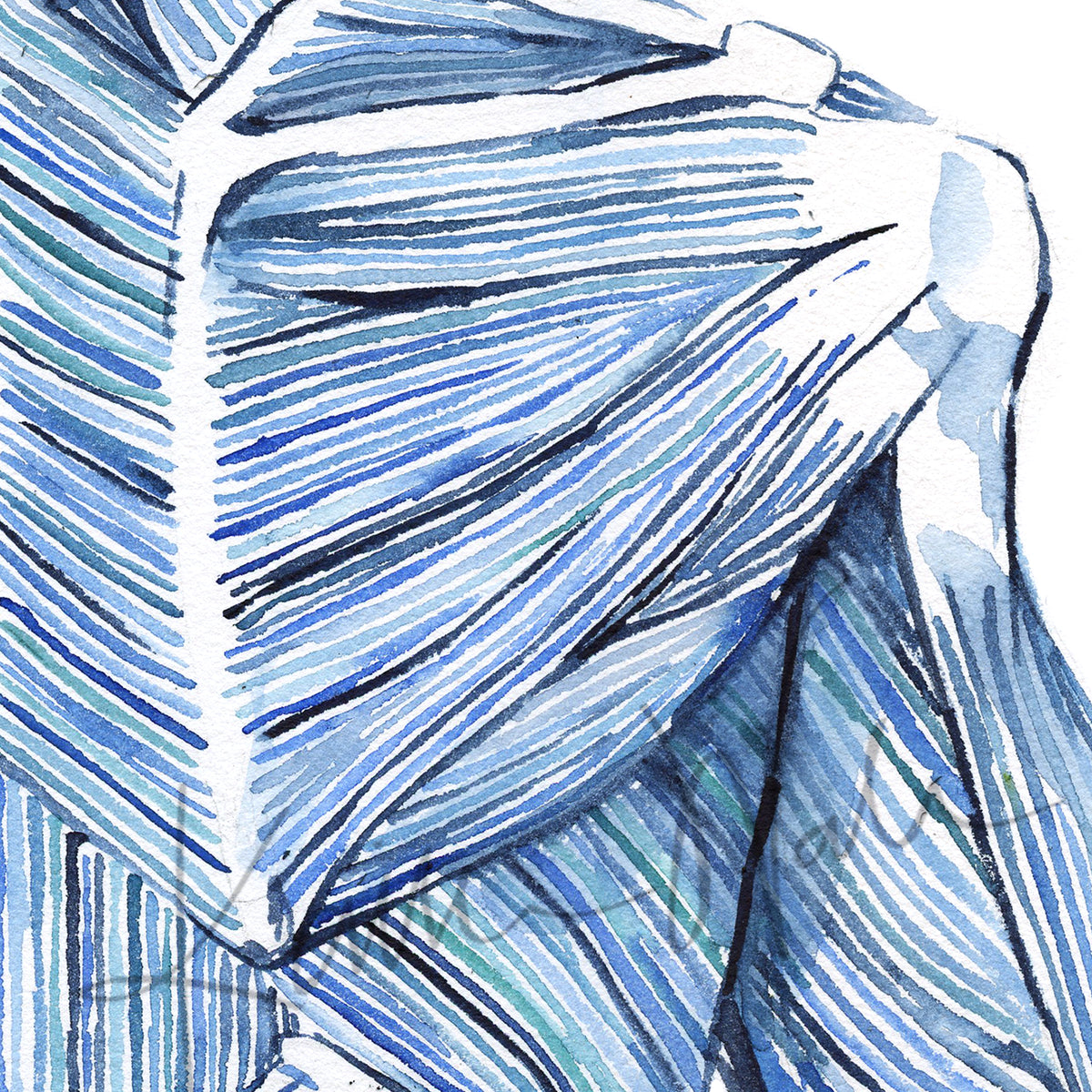 Striated Back Muscles Watercolor Print – Lyon Road Art