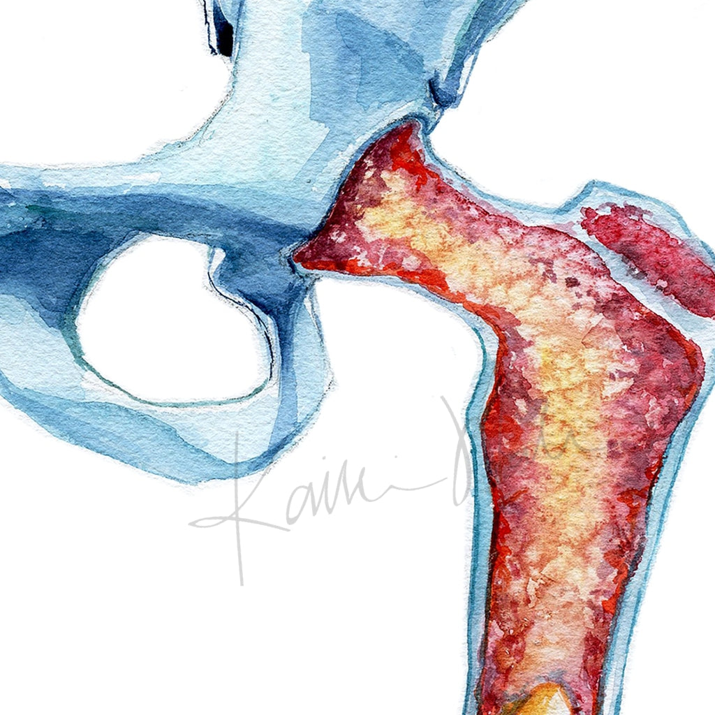 Bone Marrow Watercolor Print | Oncology Art – Lyon Road Art