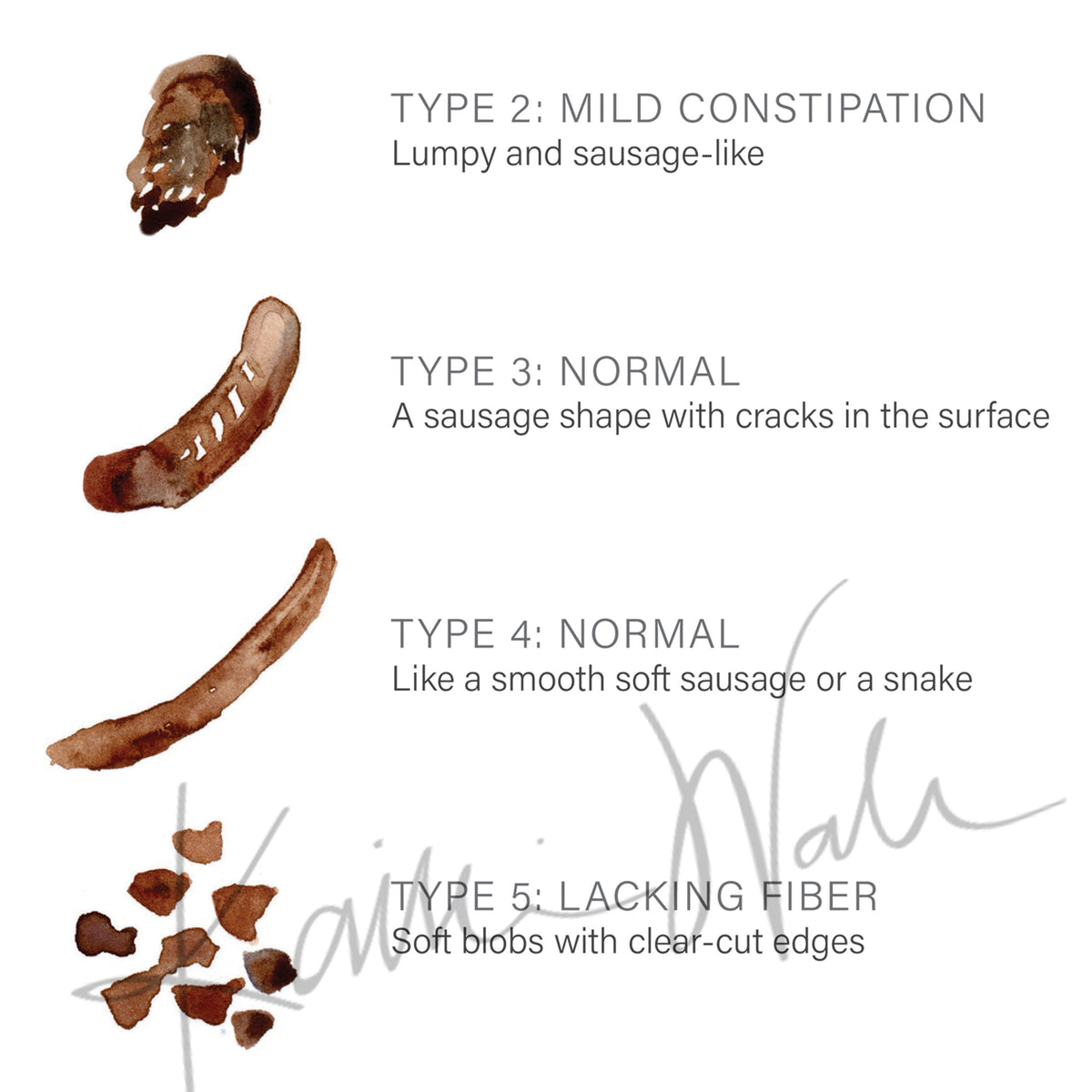Bristol Stool Chart Watercolor Print | Gift for Gastroenterologist ...