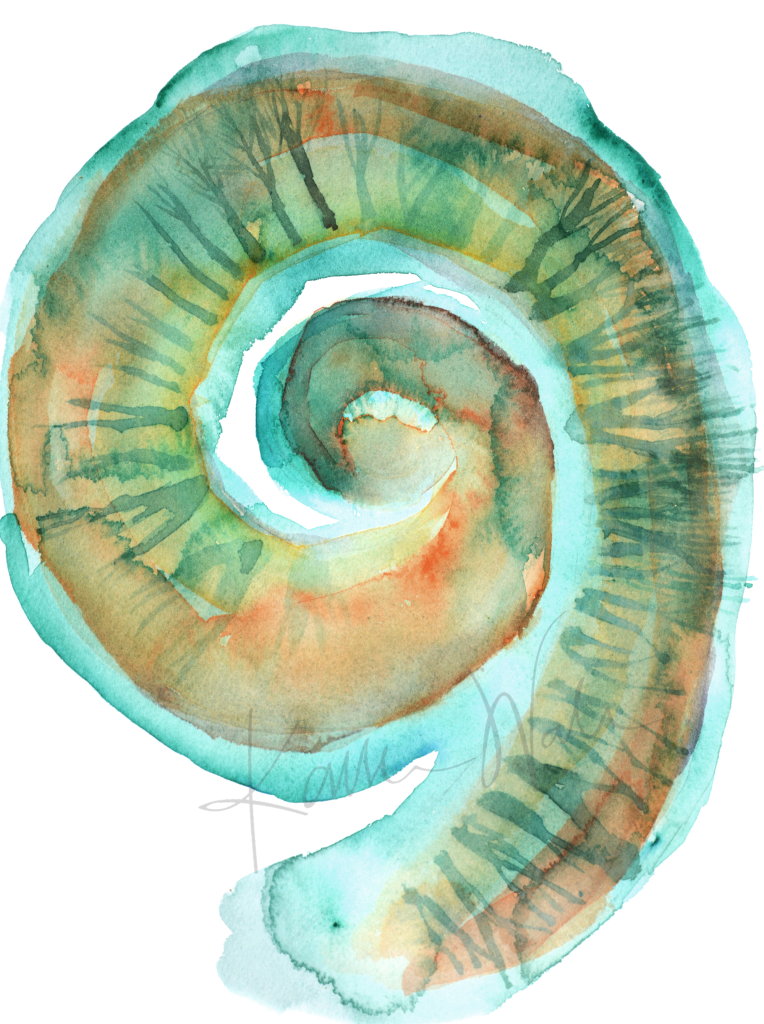 Cochlea Watercolor - Original – Lyon Road Art