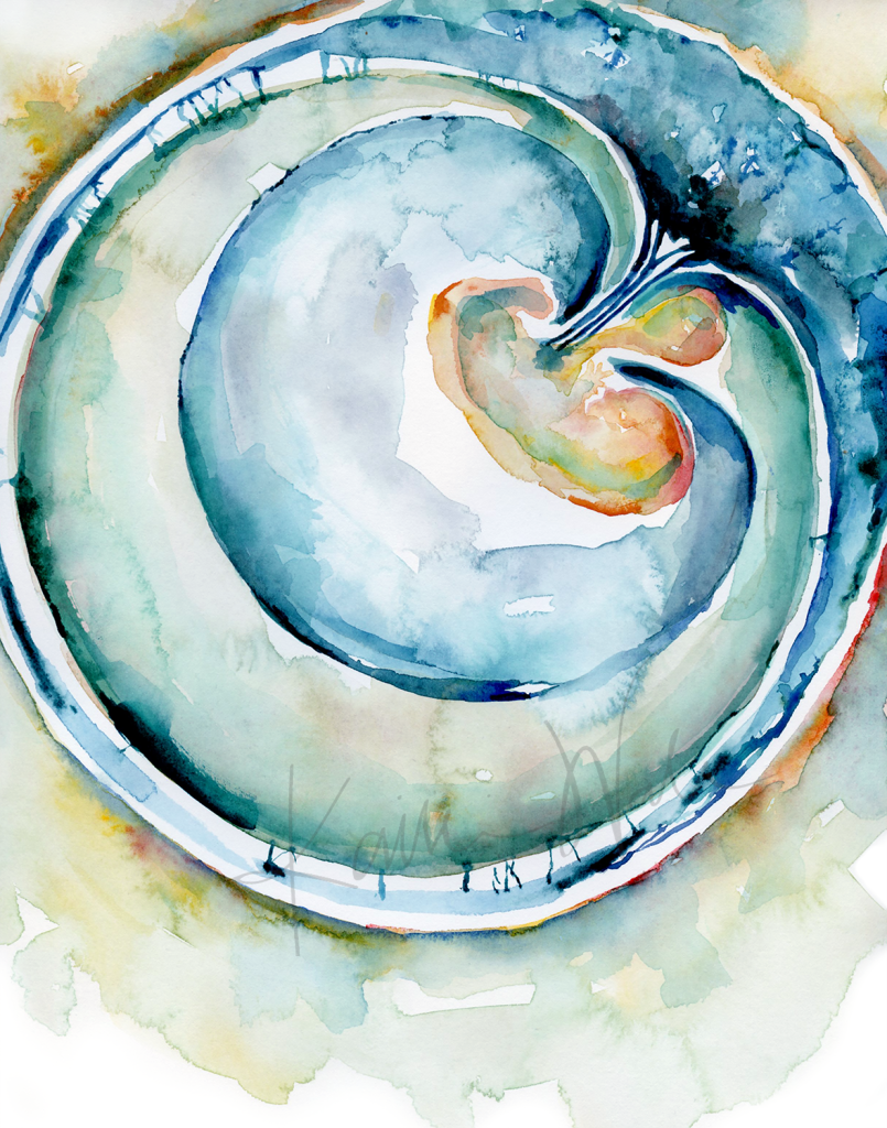 Fetus and Extraembryonic Membranes Watercolor Print – Lyon Road Art