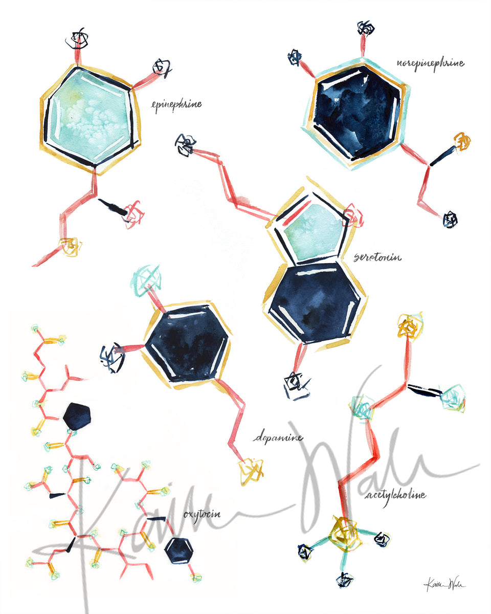 Happy Hormones Watercolor Poster – Lyon Road Art
