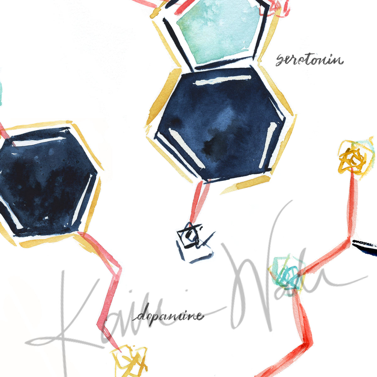 Happy Hormones Watercolor Poster – Lyon Road Art