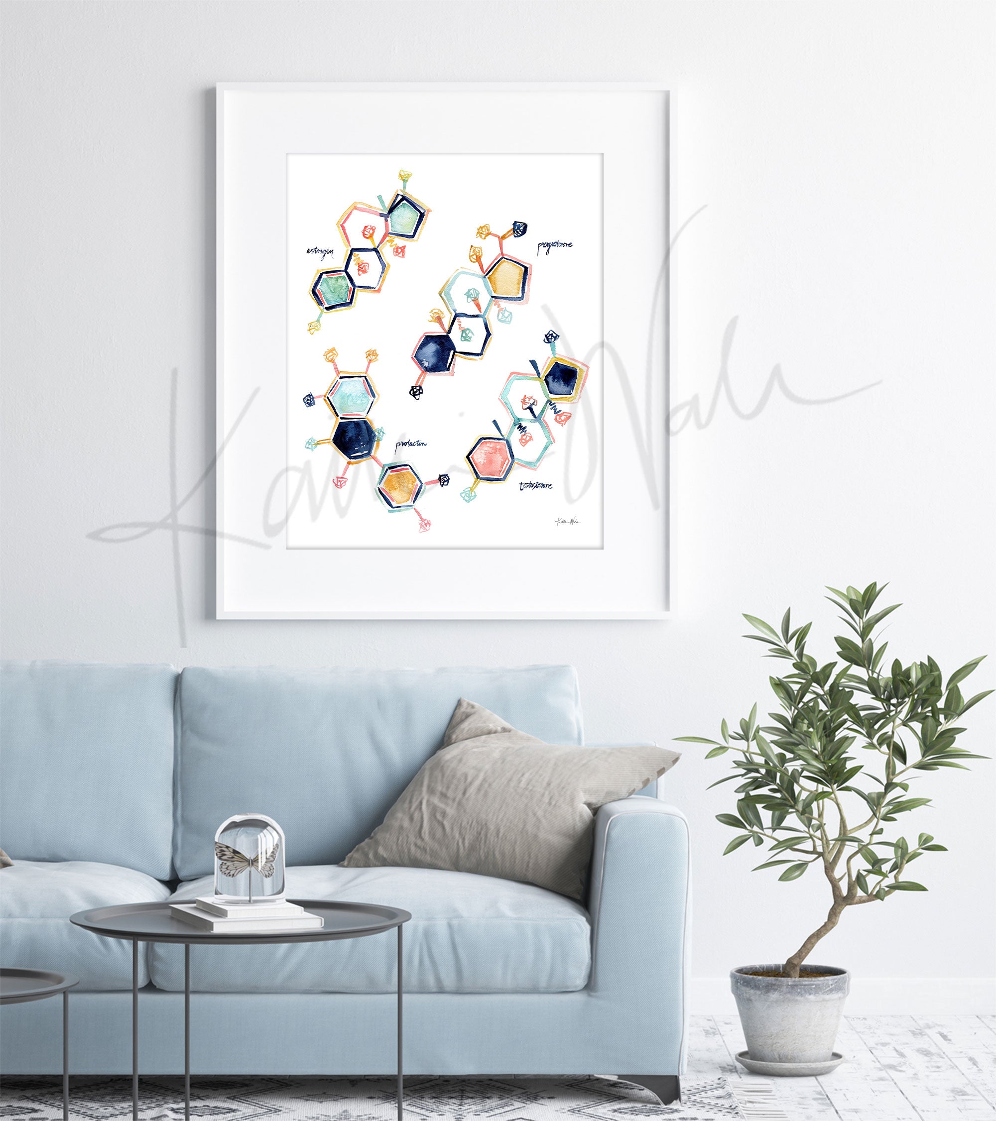 Reproductive Hormones Watercolor Poster – Lyon Road Art