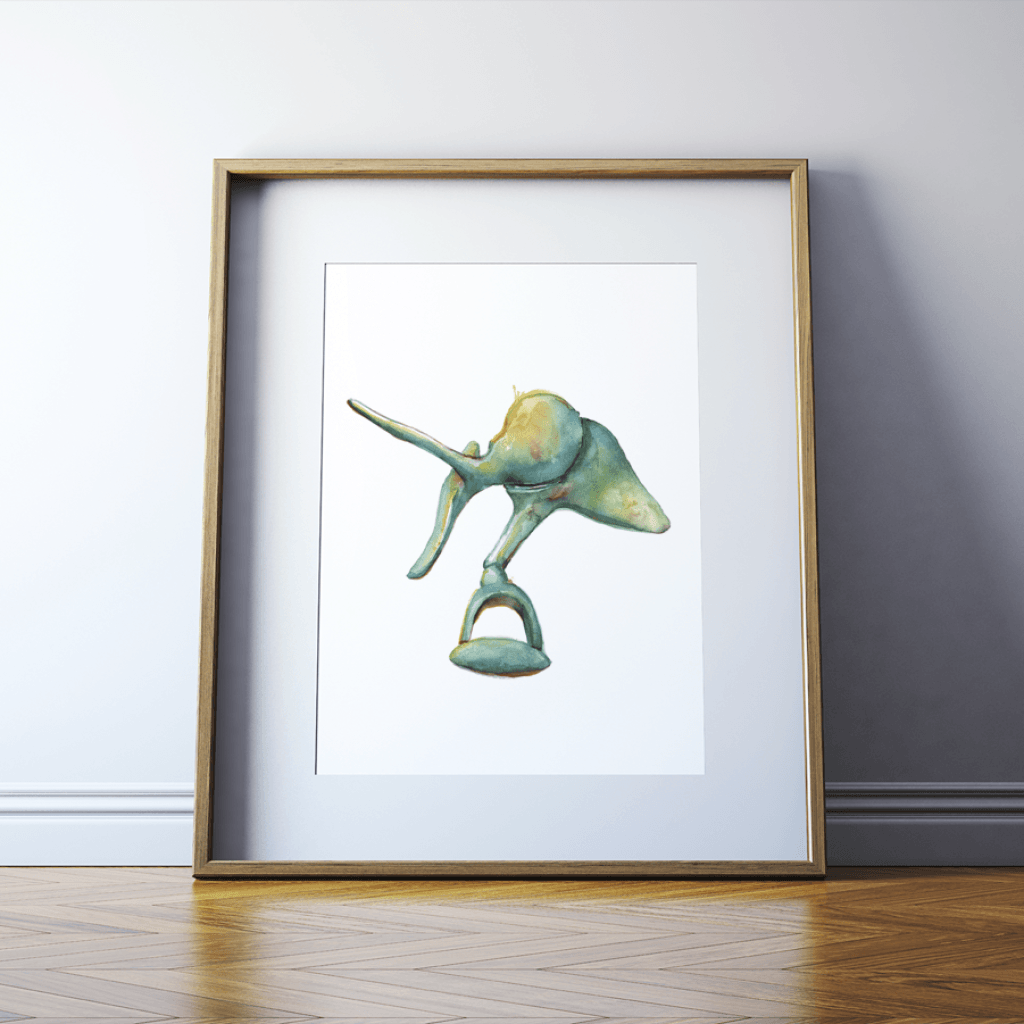 Ossicles Watercolor Print – Lyon Road Art
