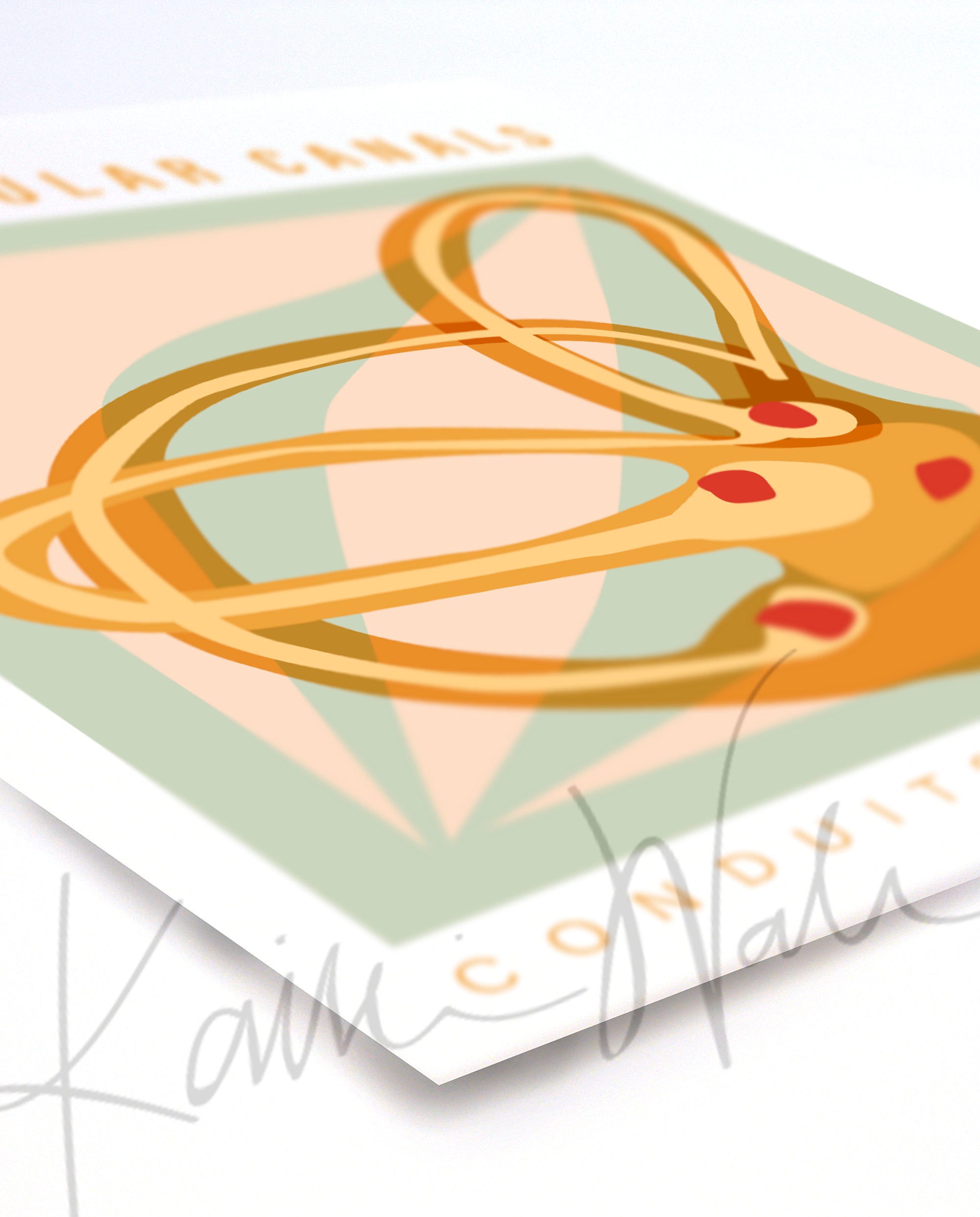 Semicircular Canals Poster - LIMITED EDITION DIGITAL DOWNLOAD – Lyon ...